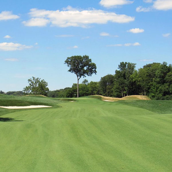 Fairway - SIBE Golf AG - Golfplatz- und Driving Range Ausstattung